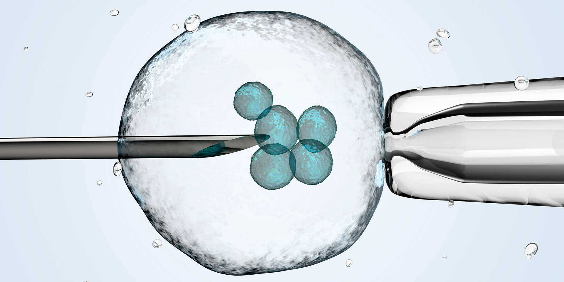 The IVF Process - Advanced Fertility Center of Texas – Infertility ...