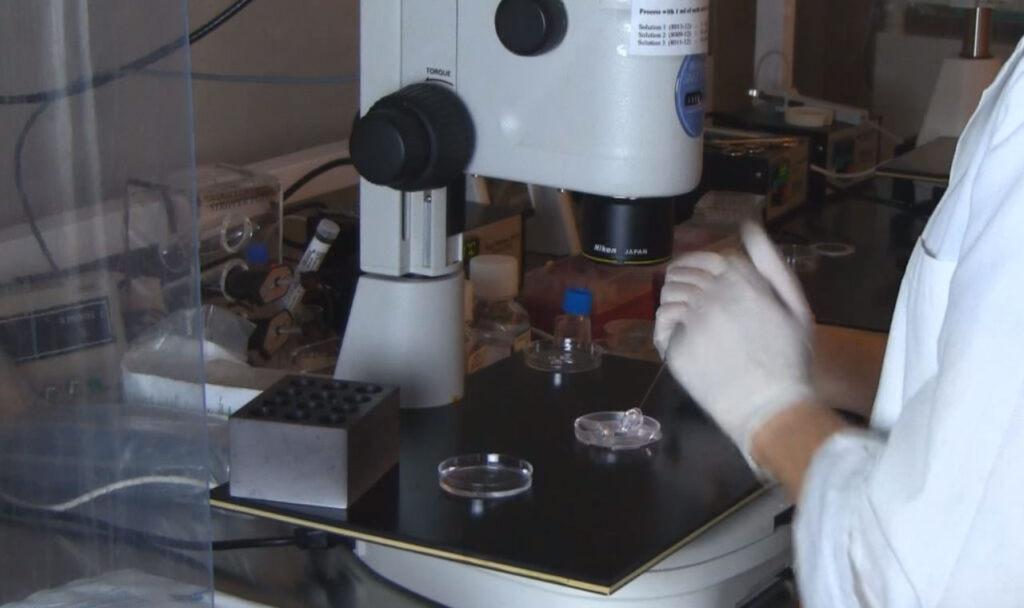 Reproductive Laboratory - Advanced Fertility Center of Texas ...